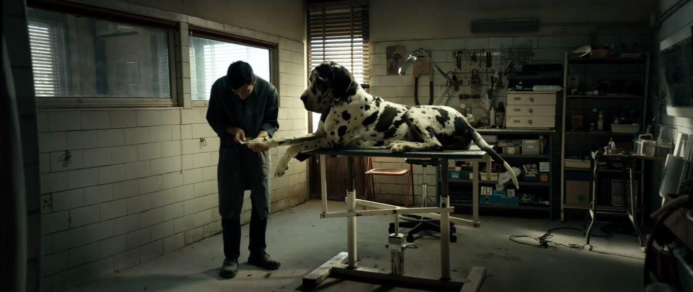 CINEMATECA ESTRENA LA PELÍCULA ITALIANA "DOGMAN" ESTE JUEVES 10 Y ...